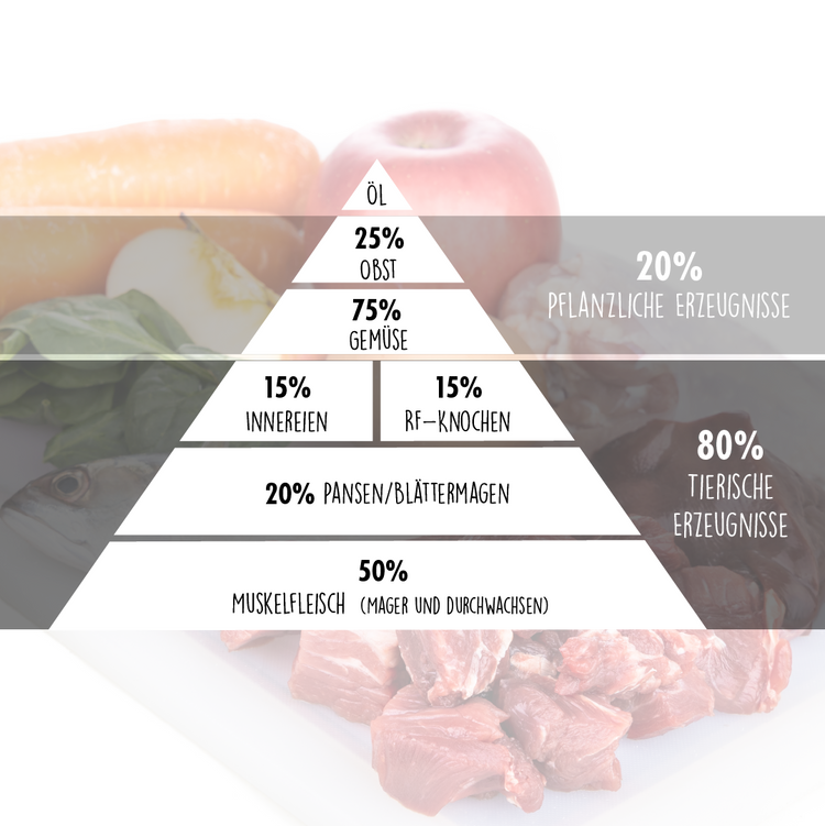 Futterpyramide für Hunde Ausgewogen & gesund füttern – BARFGOLD